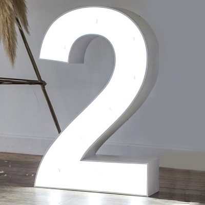 Number 2 Light up Number freestanding for 2nd Birthday | Styled Event Hire